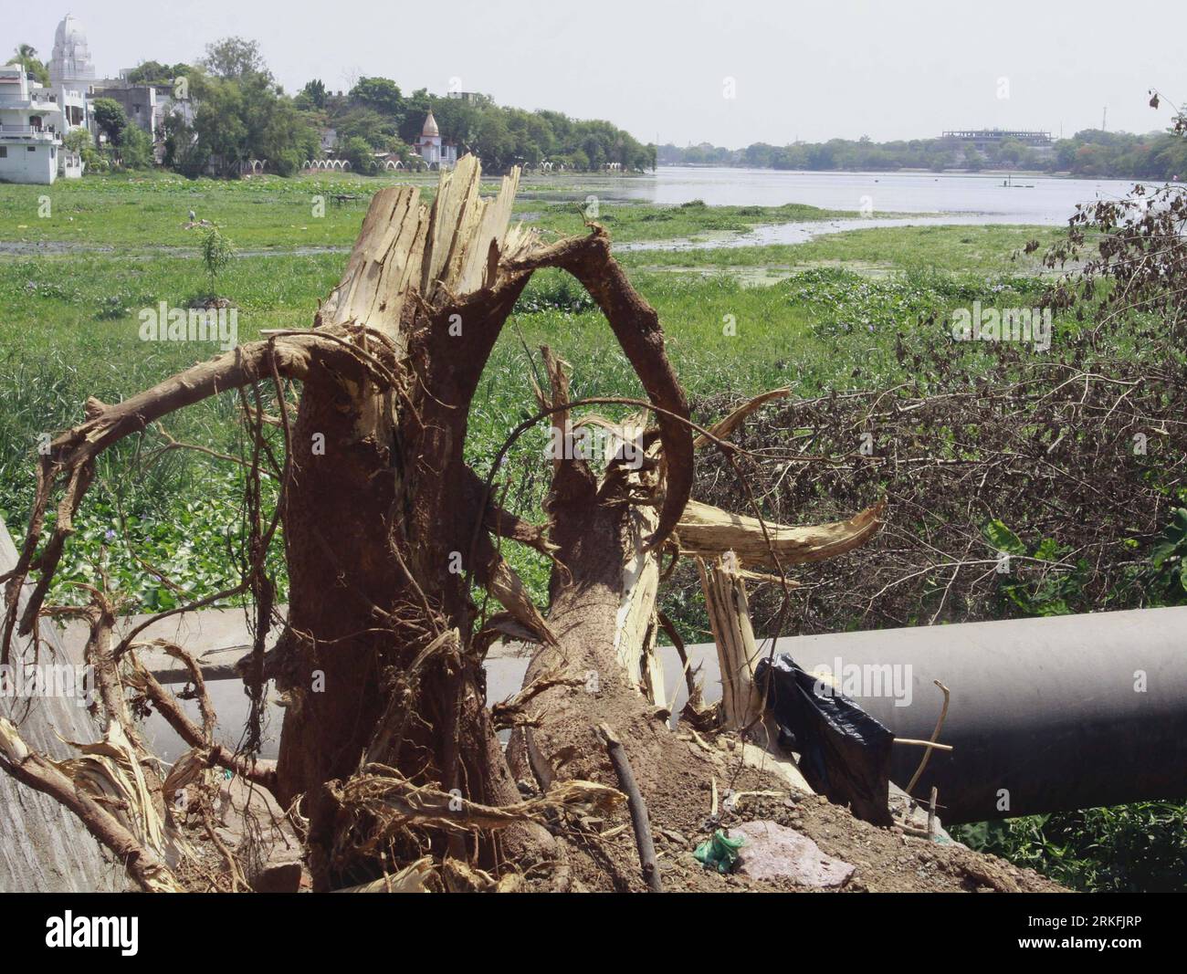 India bhopal lake hi-res stock photography and images - Alamy