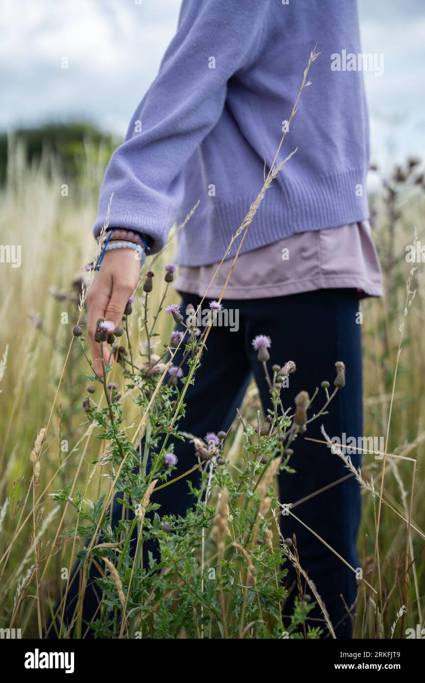 Young Girl Touching Flowers in a Beautiful Field in Denmark Stock Photo ...