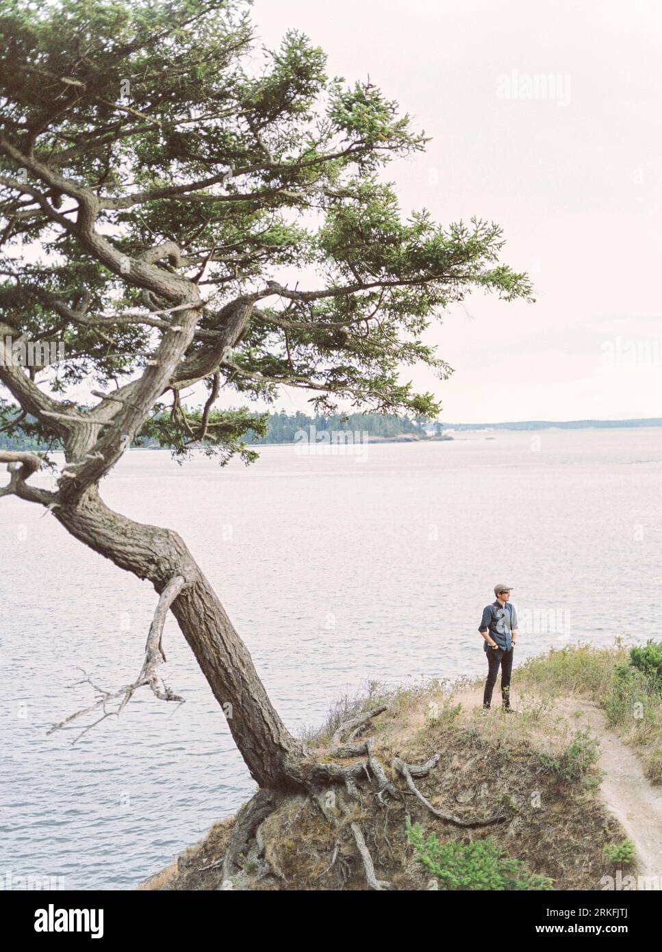 Man standing on overlook on the Pacific Northwest next to tree Stock ...
