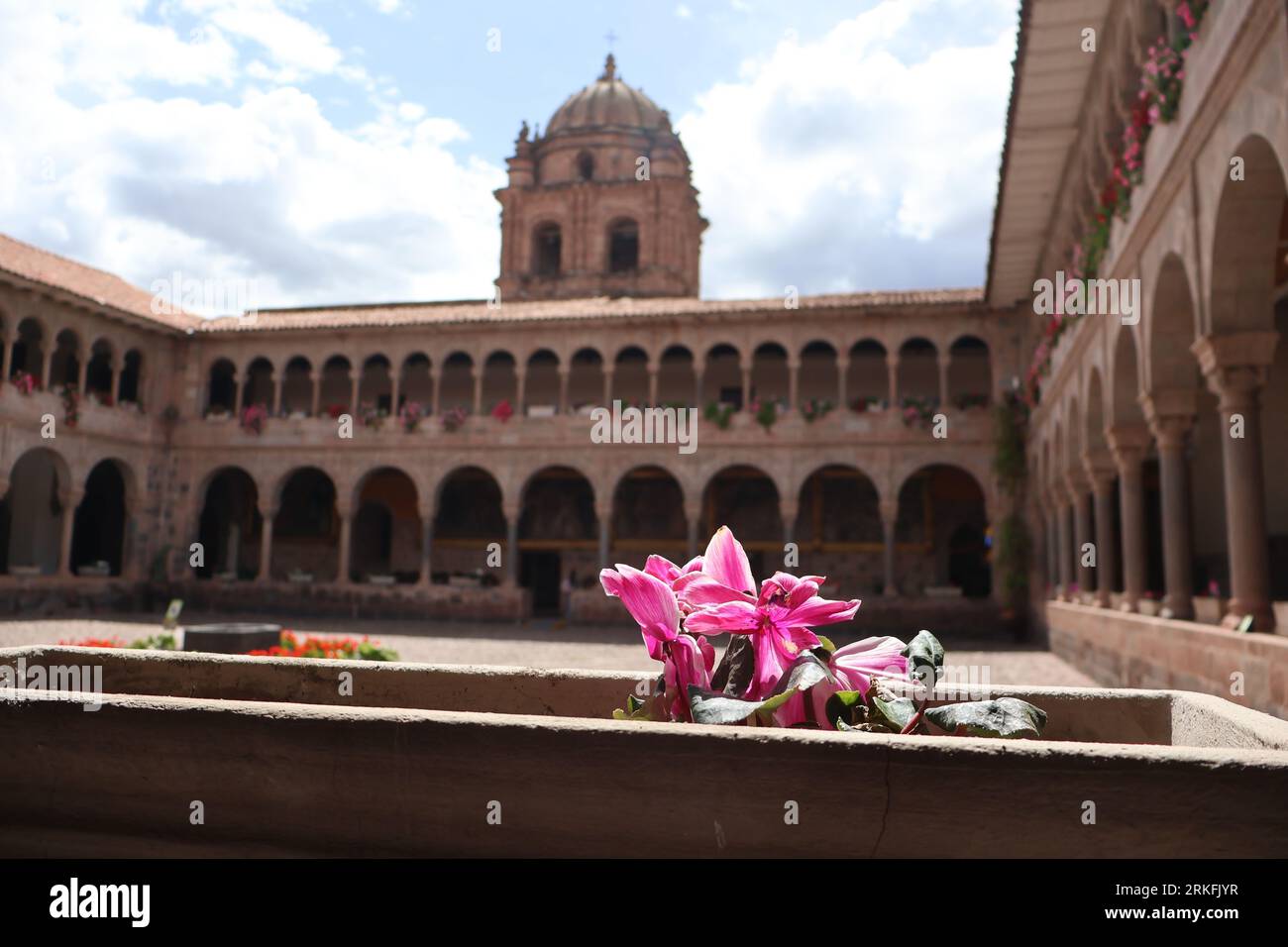 A vibrant array of colorful flowers in bloom, set against the stunning ...