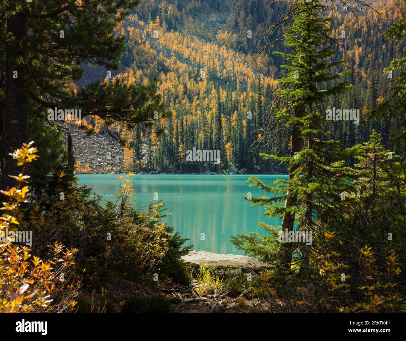 Lake in Fall, Purcell Mountains, British Columbia Stock Photo - Alamy