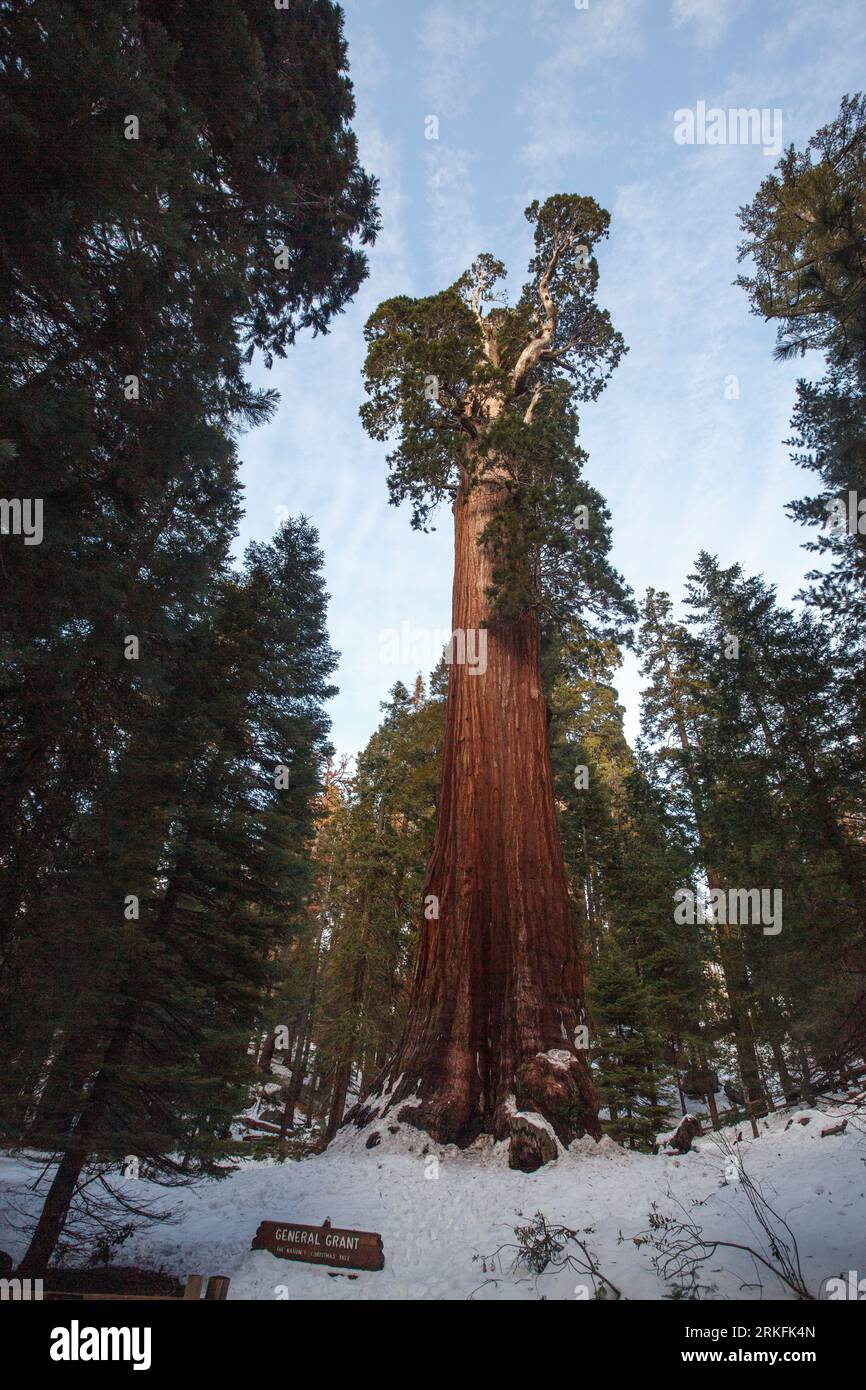 Kings canyon national park grant hi-res stock photography and images - Alamy