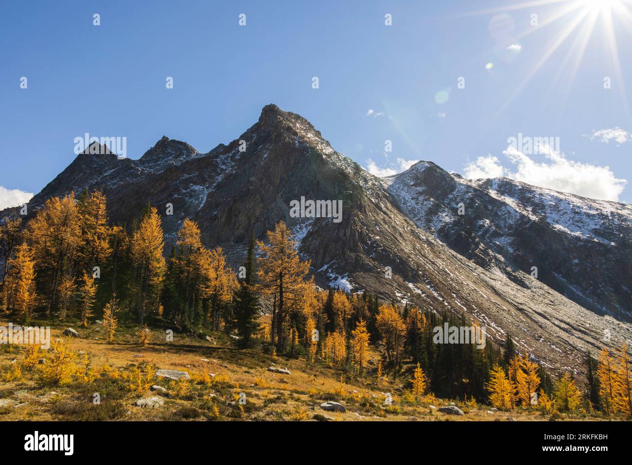 Jumbo Pass in Fall, British Columbia Canada Stock Photo - Alamy