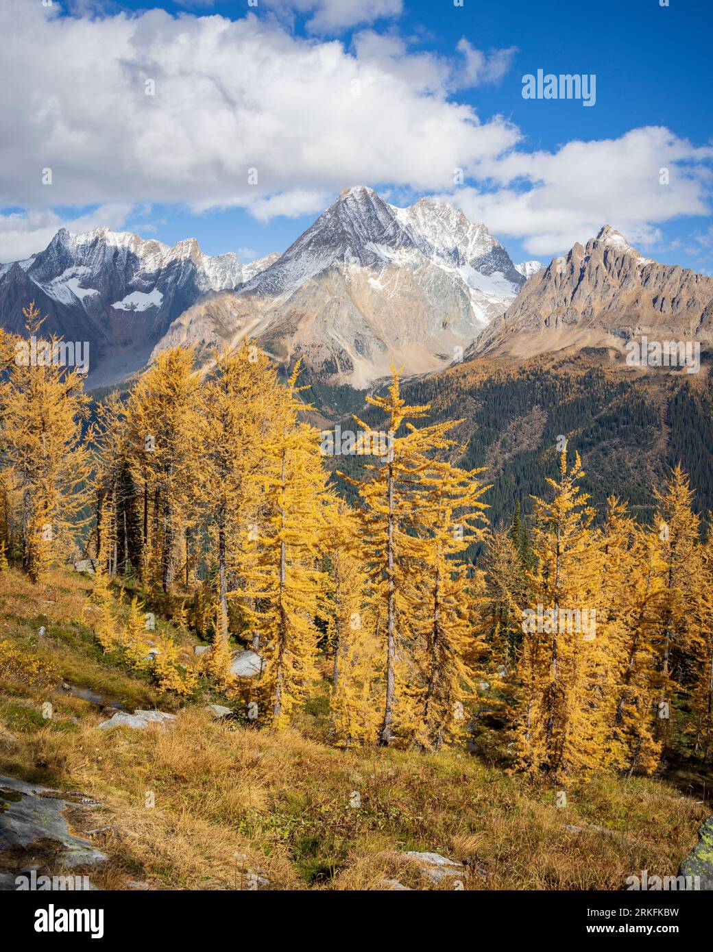 Jumbo Pass in Fall, British Columbia Canada Stock Photo - Alamy