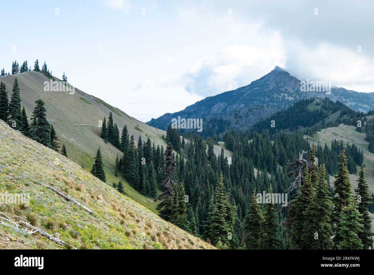 Olympic National Park from Hurricane Ridge in Washington State Stock ...