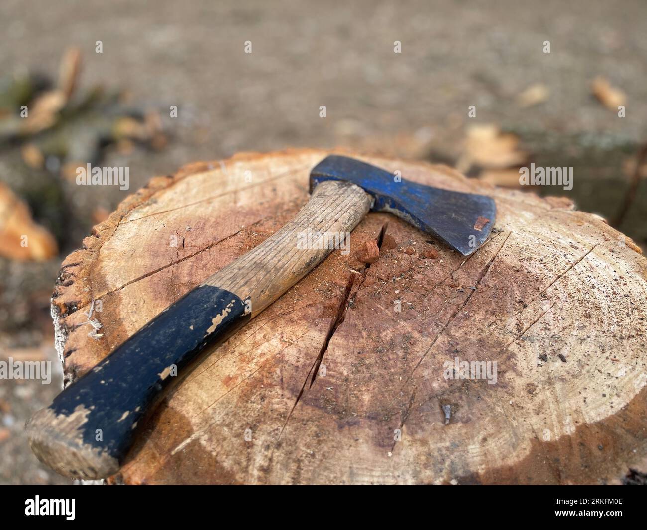 A closeup shot of an axe on a stump with blur background Stock Photo ...