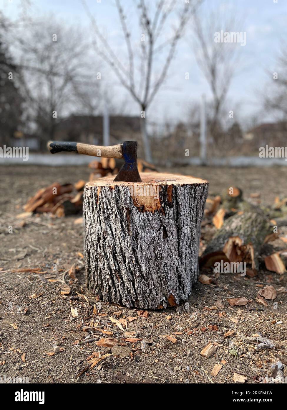 Axe in the stump hi-res stock photography and images - Alamy