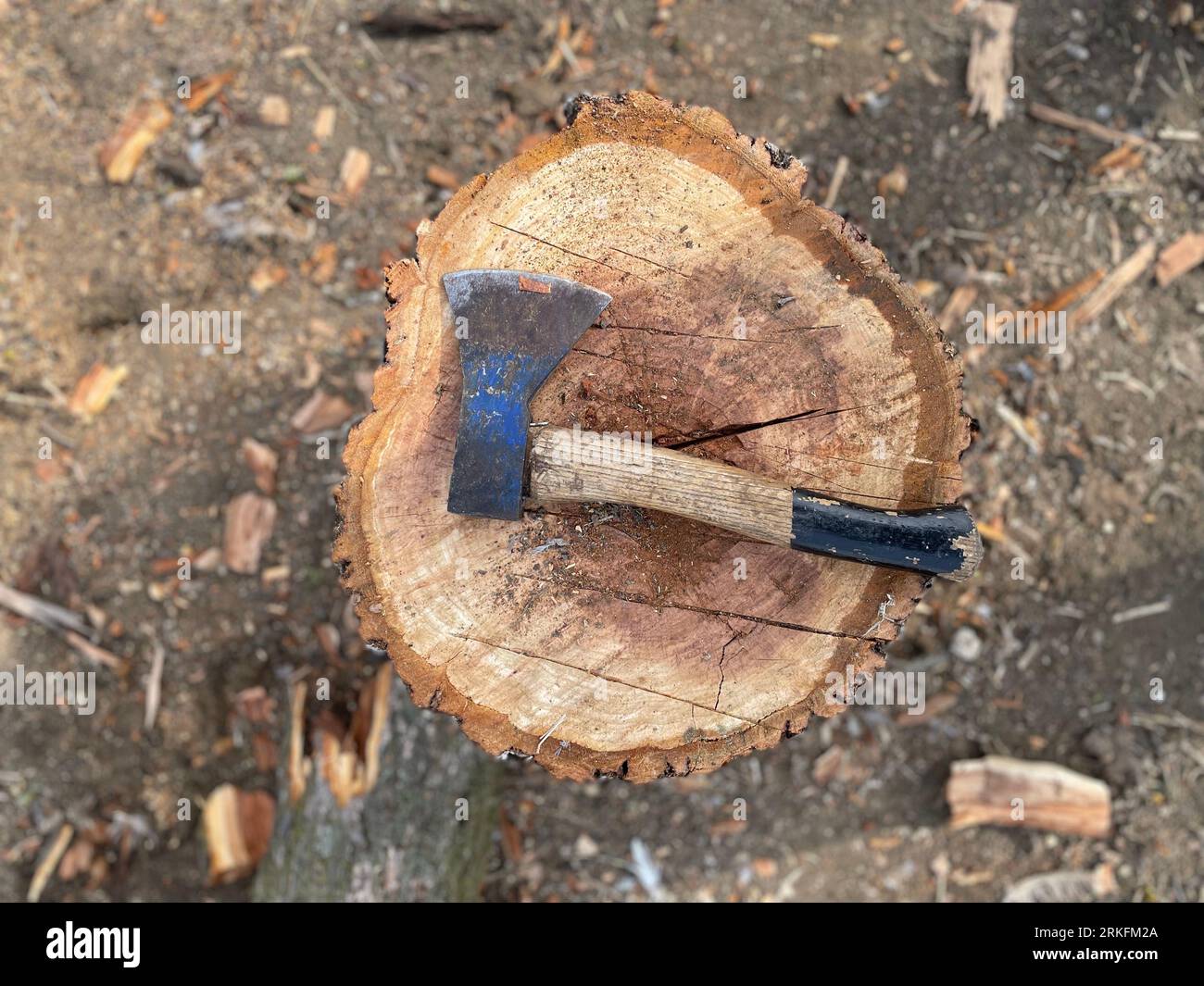 Axe stump hi-res stock photography and images - Alamy