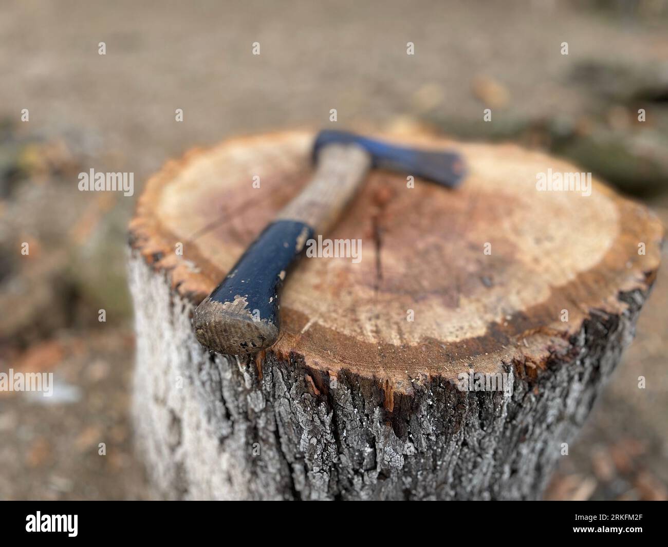Axe hammer hi-res stock photography and images - Alamy