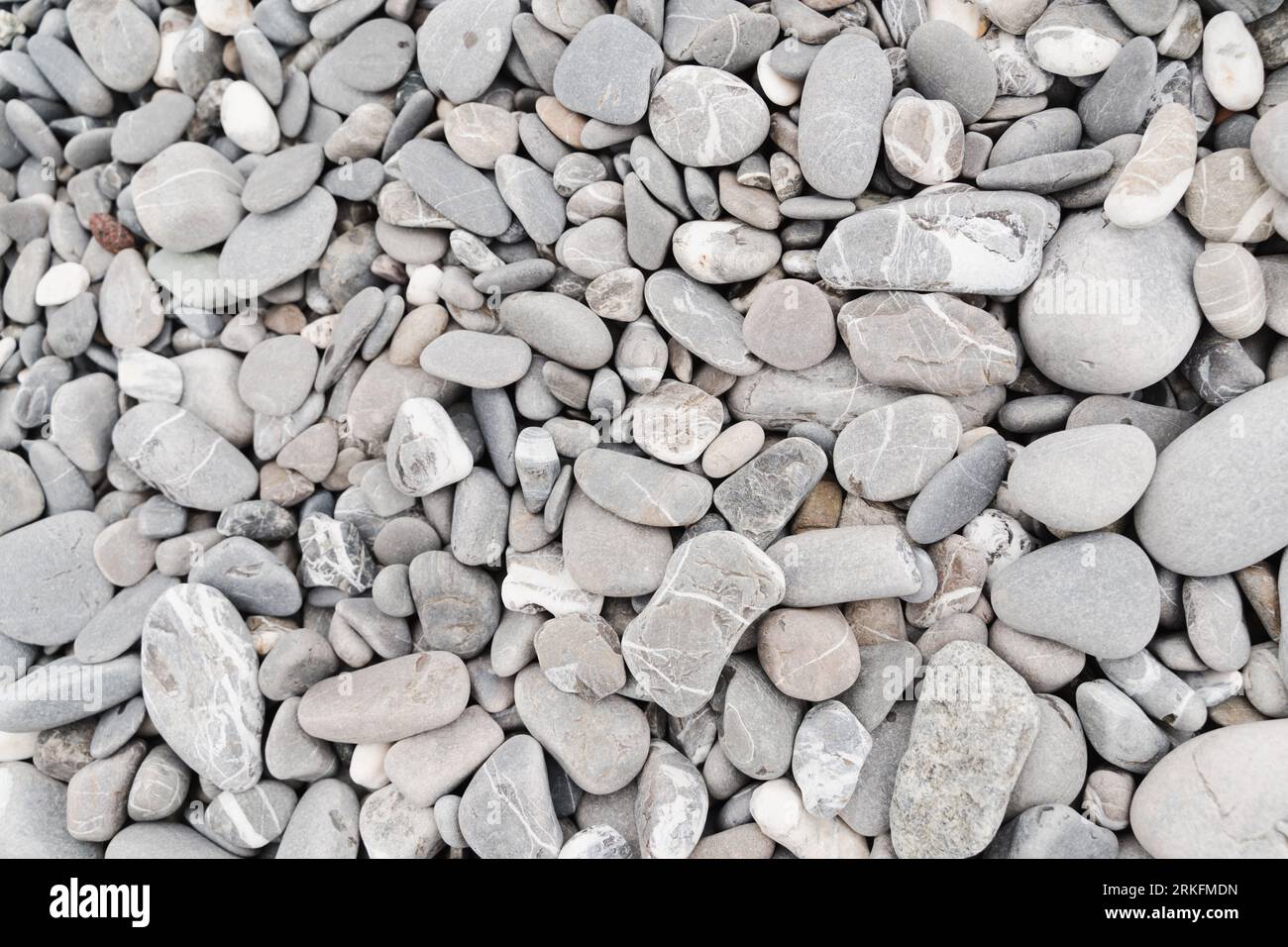 Background of gray pebbles, pebble beach Stock Photo - Alamy