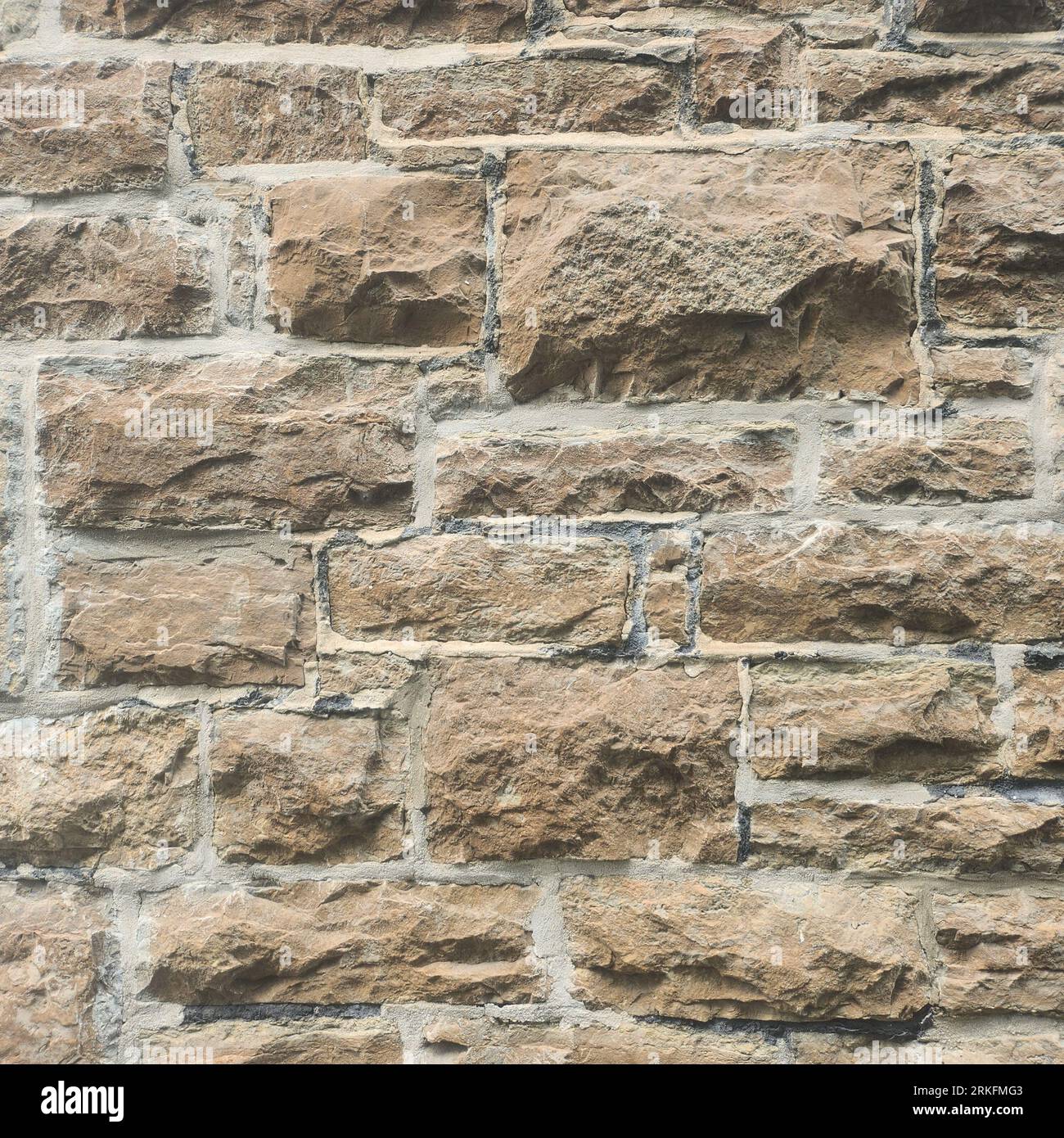 1800s school hi-res stock photography and images - Alamy