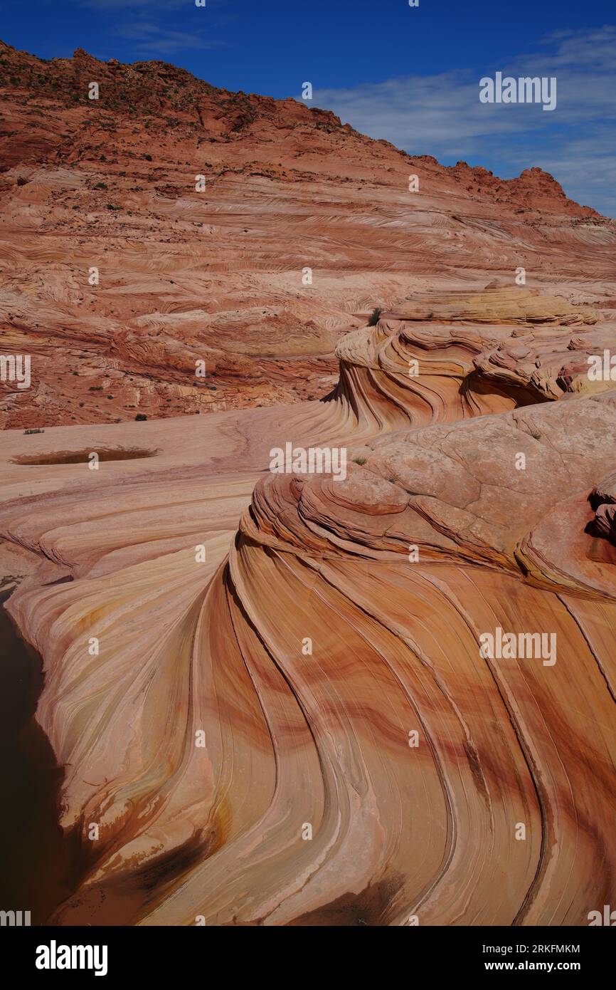 A rocky landscape in an arid desert environment: The Wave, Arizona ...