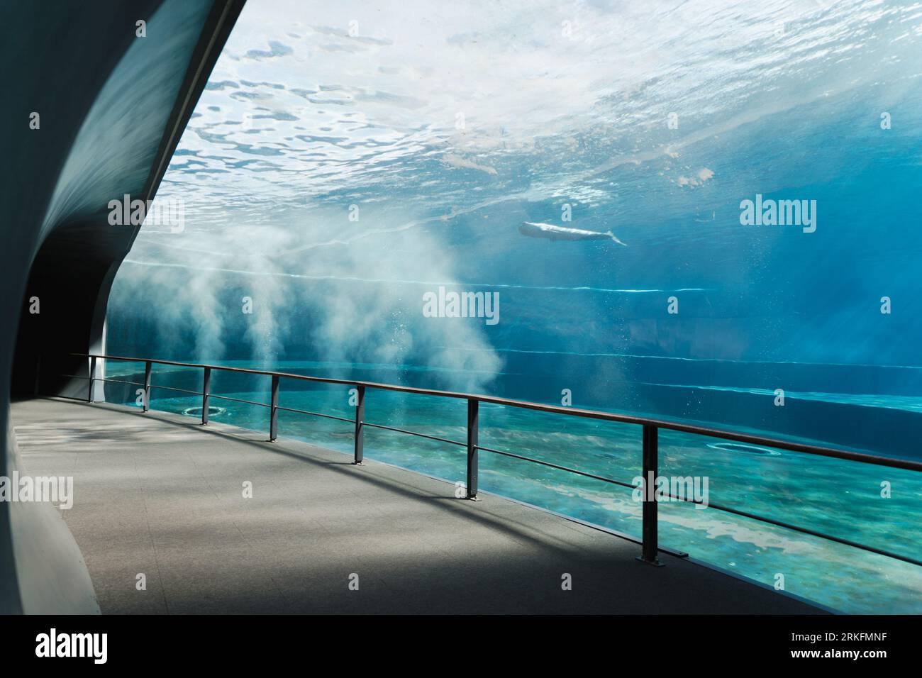 Empty interior of the oceanarium in Genoa Italy, sunlight, no on Stock ...
