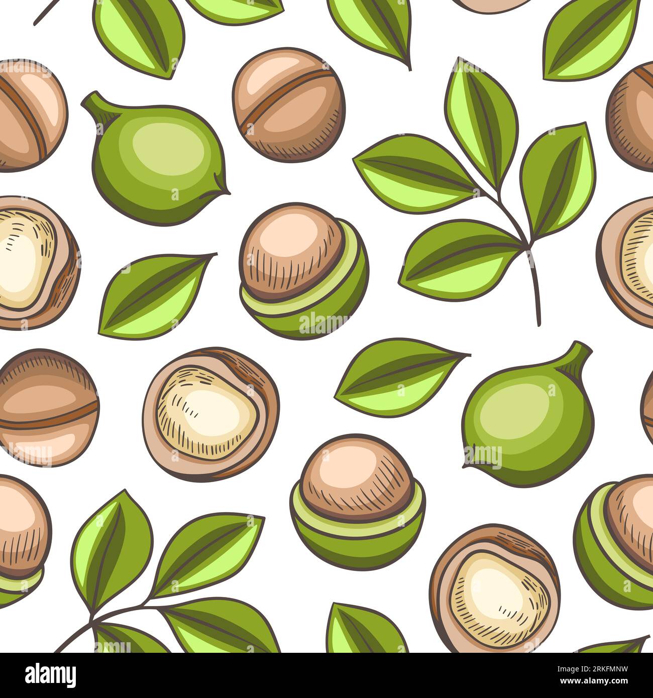 Hand drawn seamless pattern with macadamia nuts. Background with nuts ...