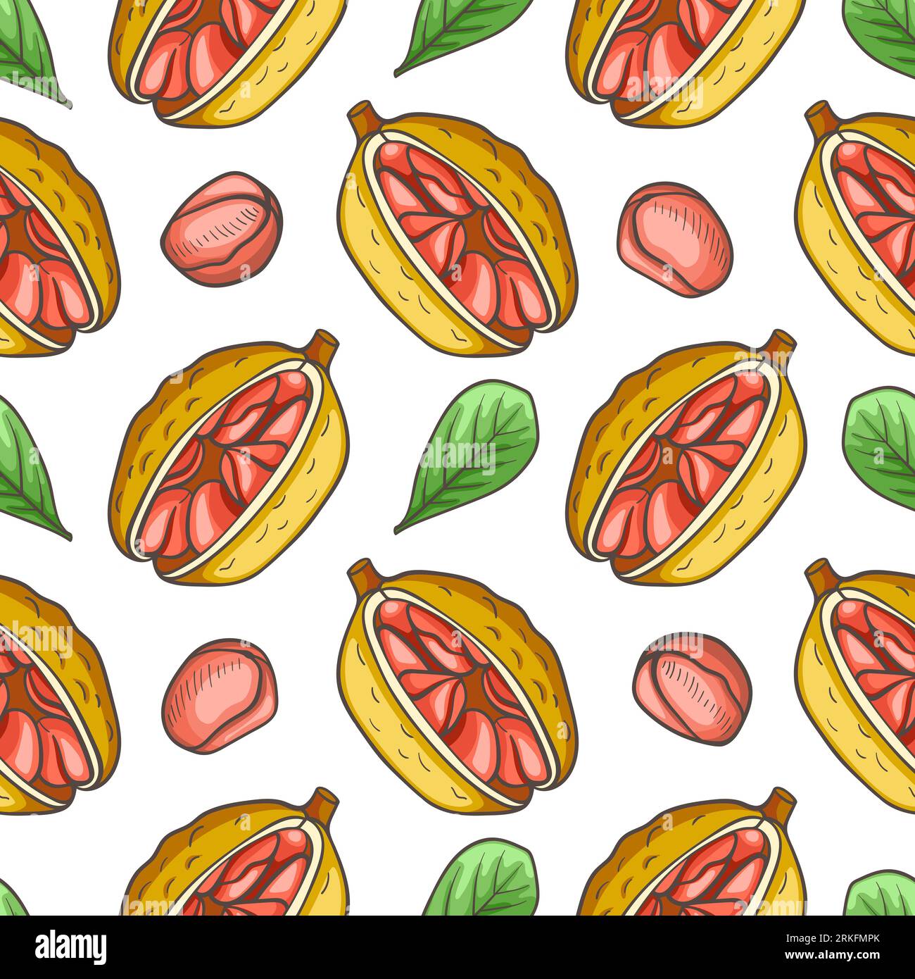 Hand drawn seamless pattern with cola nut. Background with nuts and ...