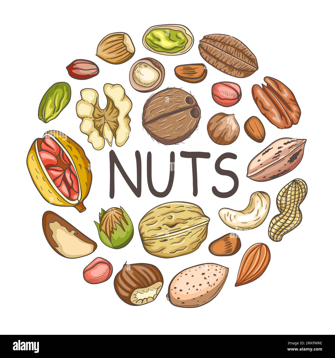 Background with various nuts. Banner with almond, walnut, hazelnut and ...