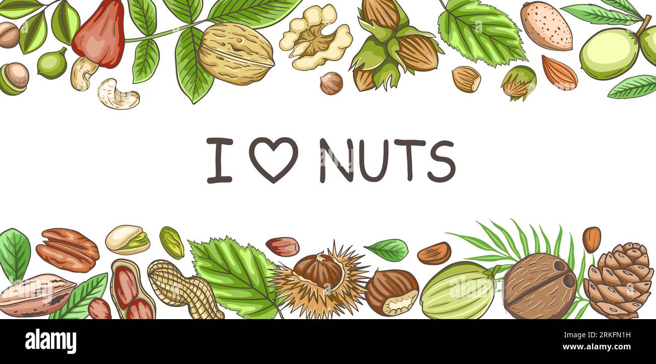 Background with various nuts and leaves. Banner with almond, walnut ...