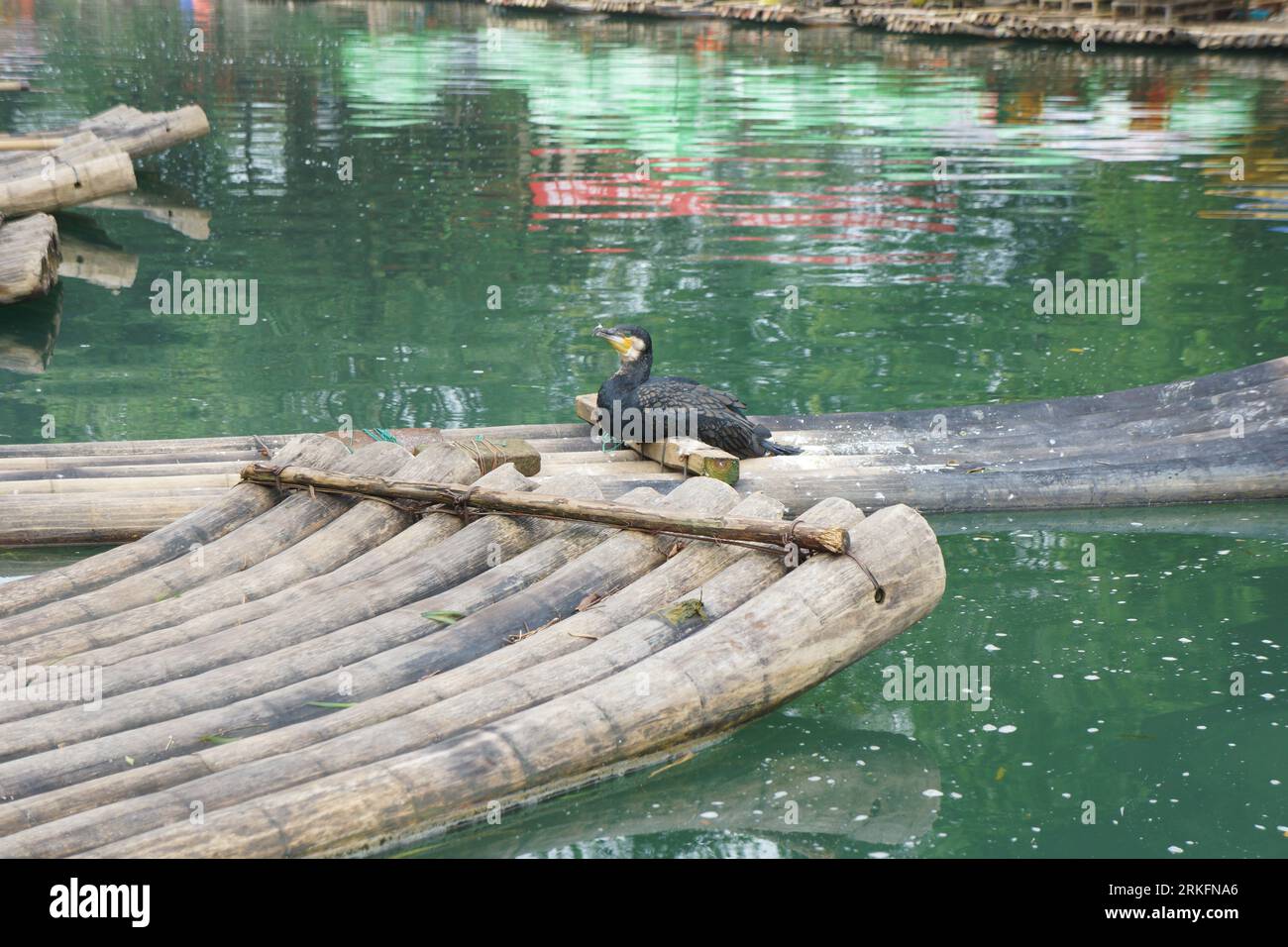 A white duck is perched atop a wooden raft in a tranquil lake Stock ...