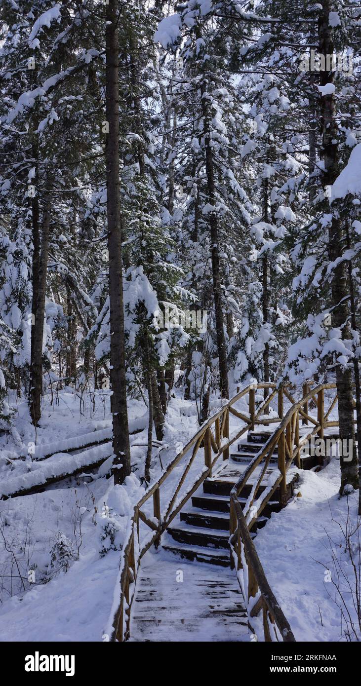 An outdoor wooden staircase adorned with snow in a wintery setting ...