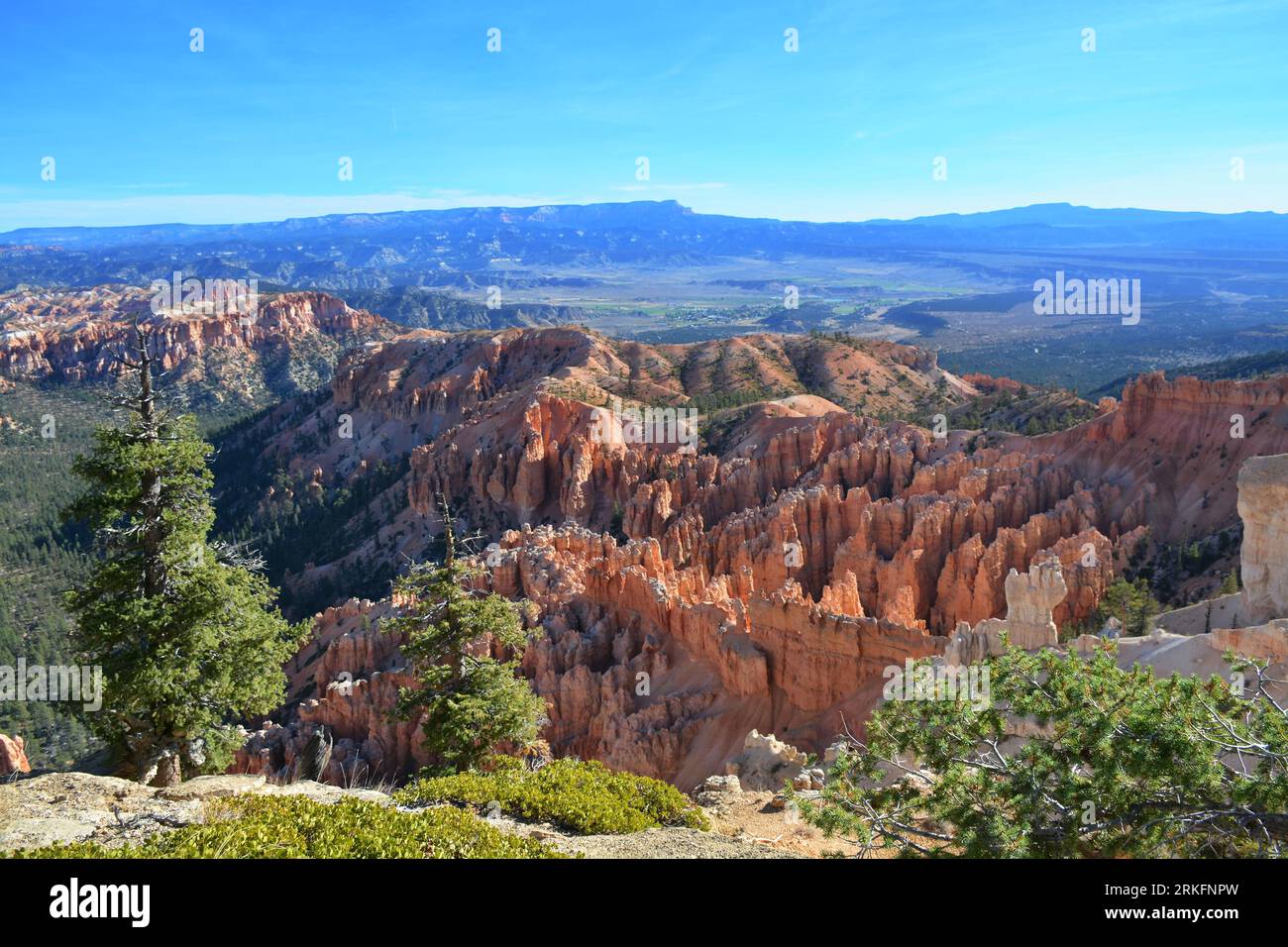 A scenic view of the unique rock formations of Bryce Canyon National ...