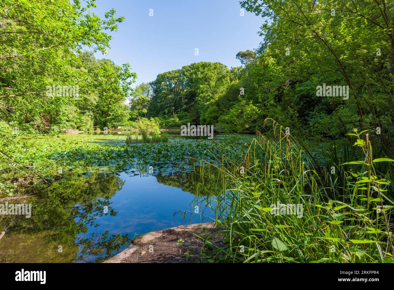 Abbots pool hi-res stock photography and images - Alamy