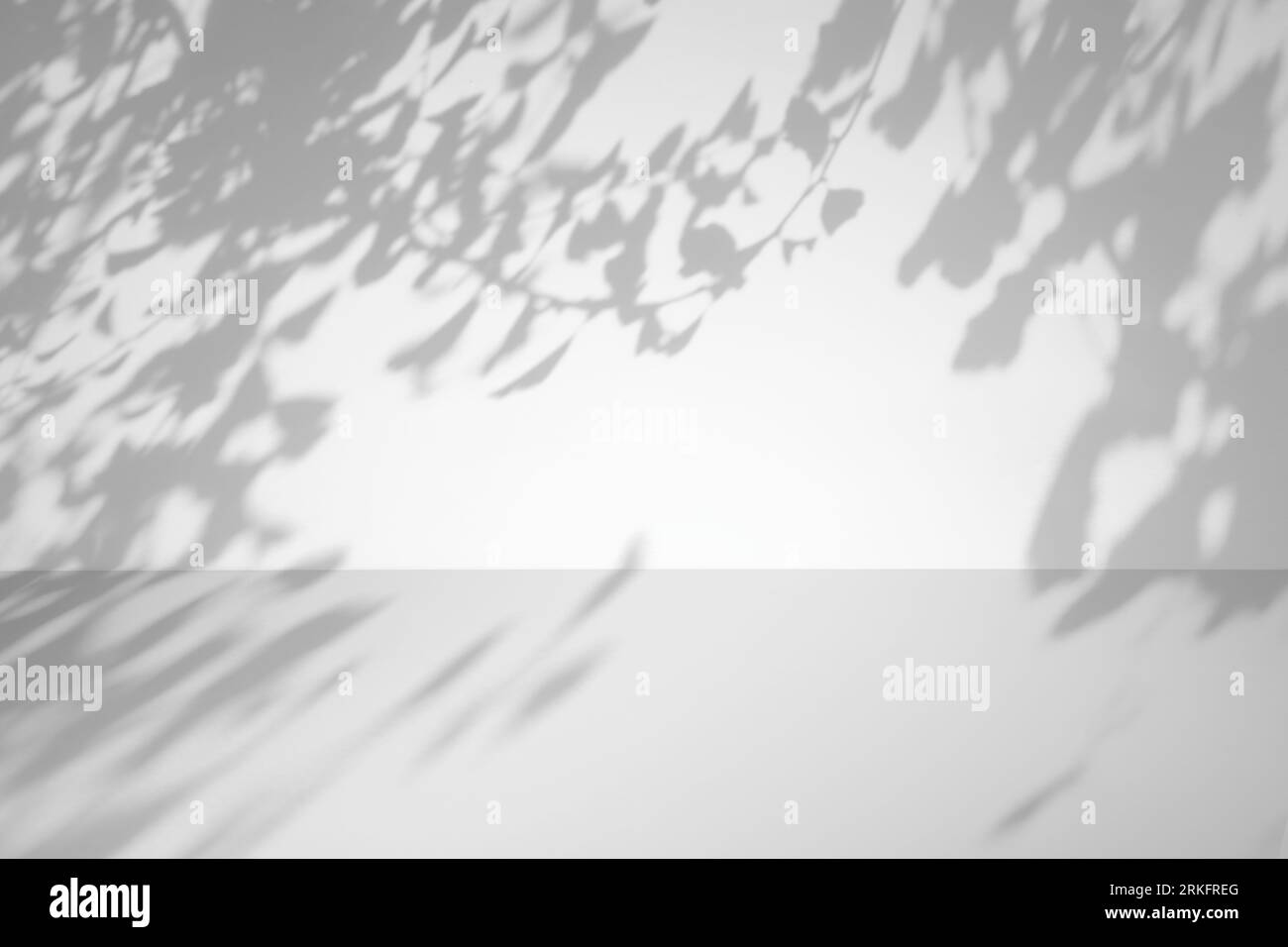 Shadow overlay effect shadows plants hi-res stock photography and ...