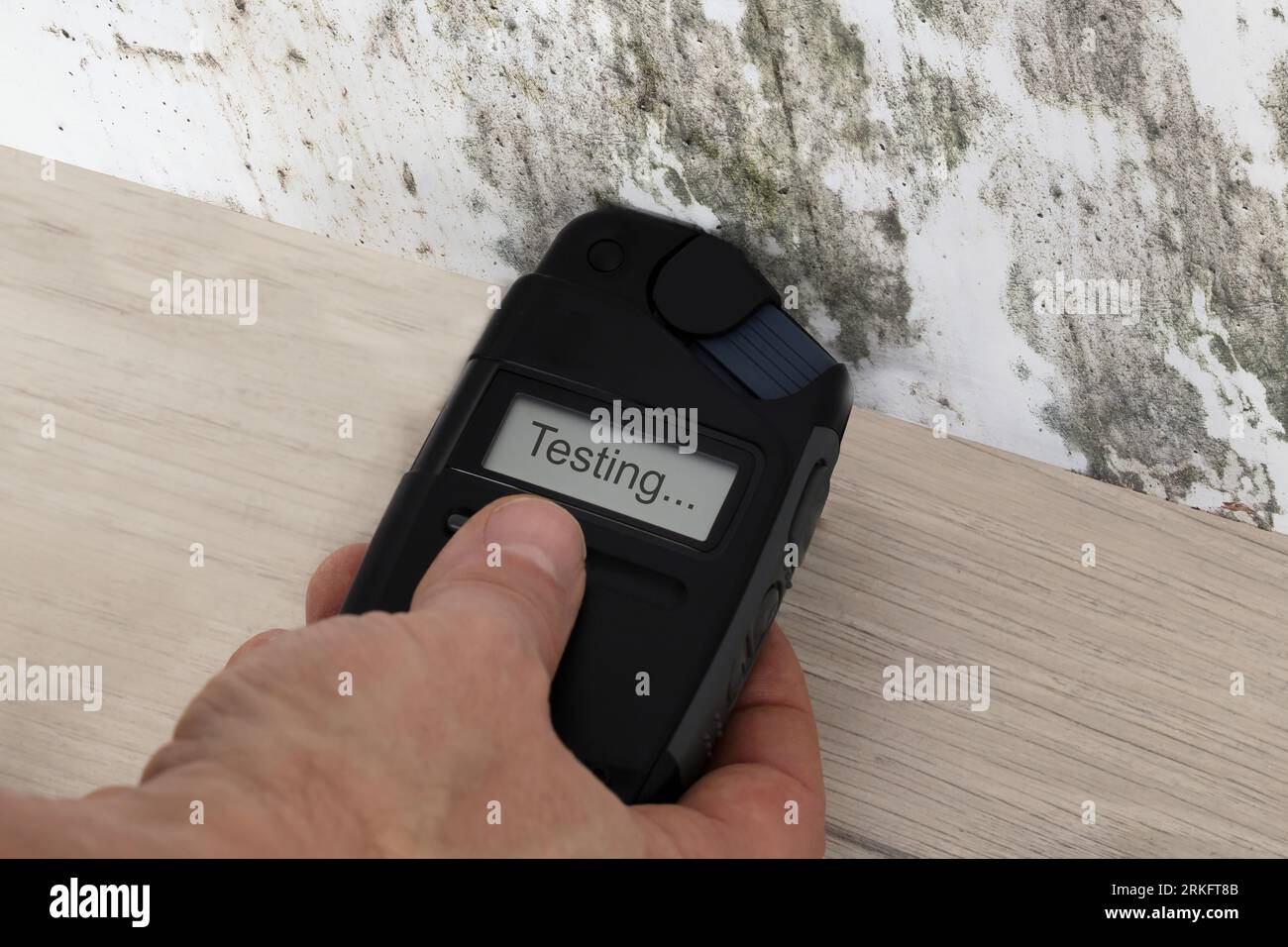 Person Hand Measuring The Wetness Off A Moldy Wall Stock Photo - Alamy