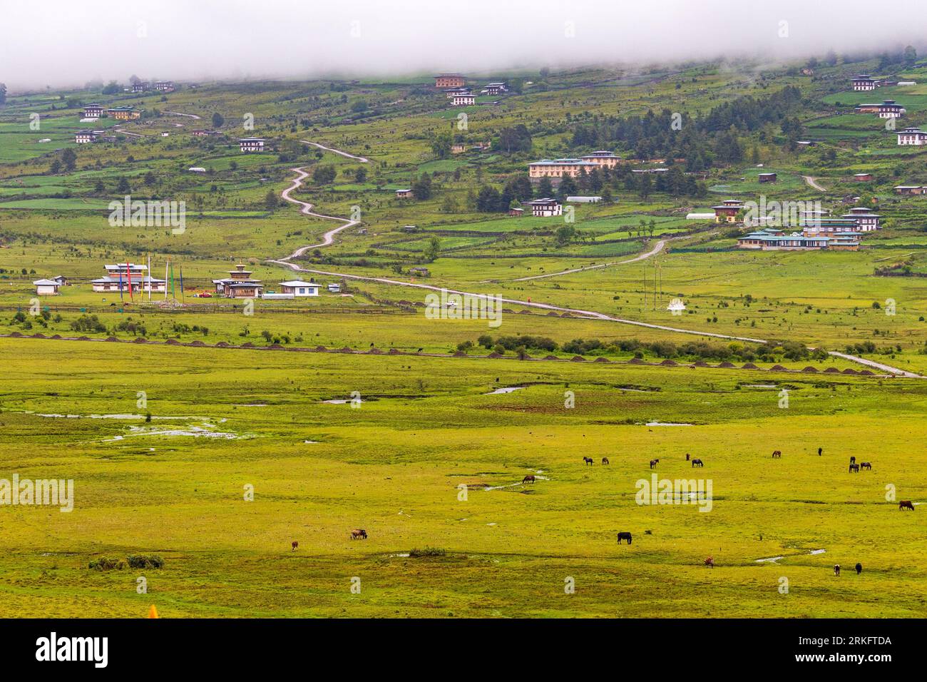 An idyllic landscape of Bhutan's countryside featuring a vibrant green ...
