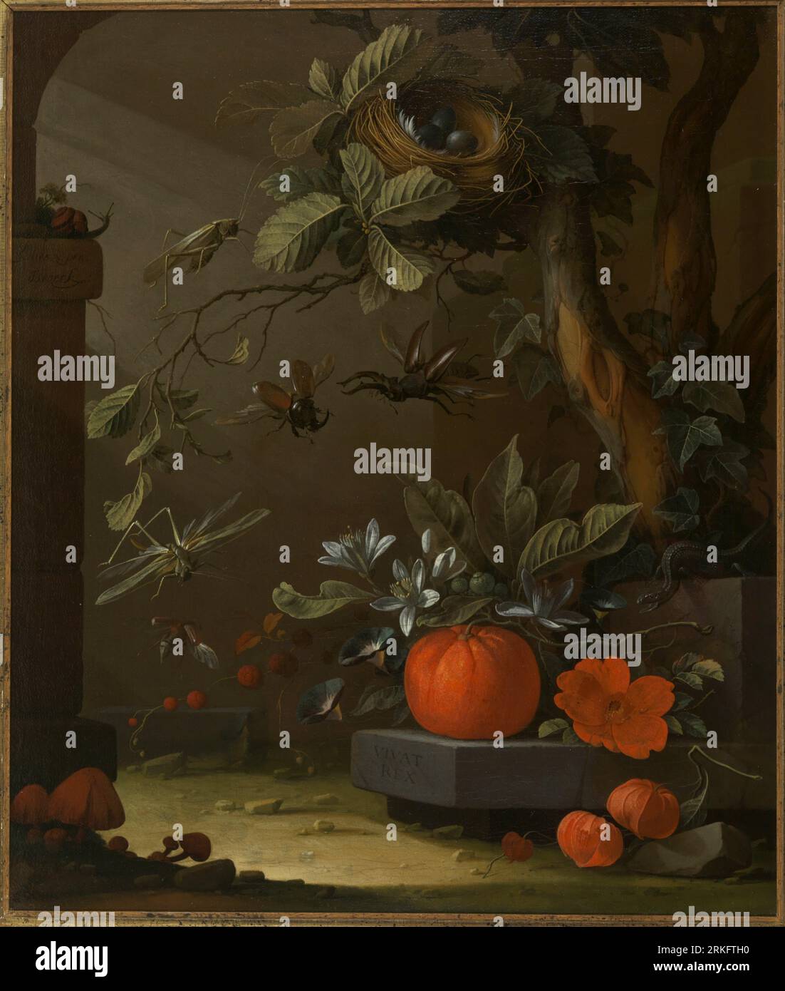 Vivat rex hi-res stock photography and images - Alamy