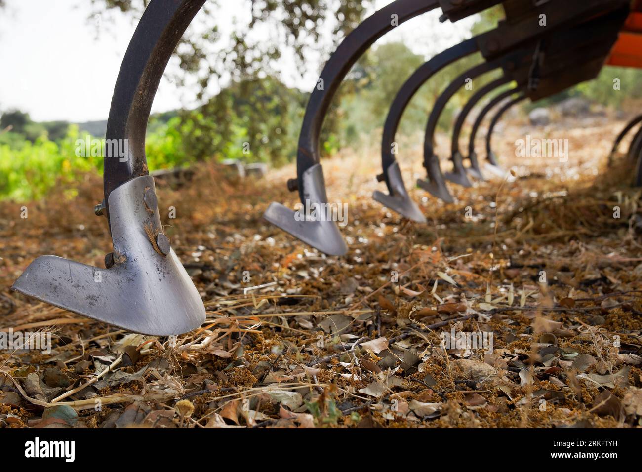 Farmer in tractor doing agricultural hi-res stock photography and ...