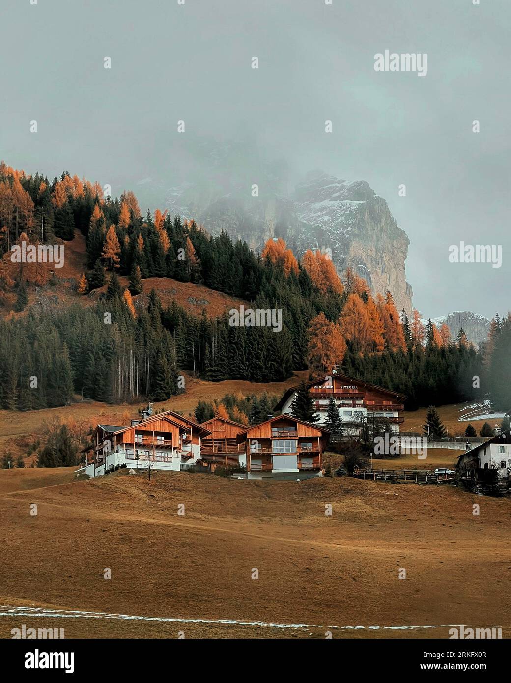 Foliage dolomiti hi-res stock photography and images - Alamy