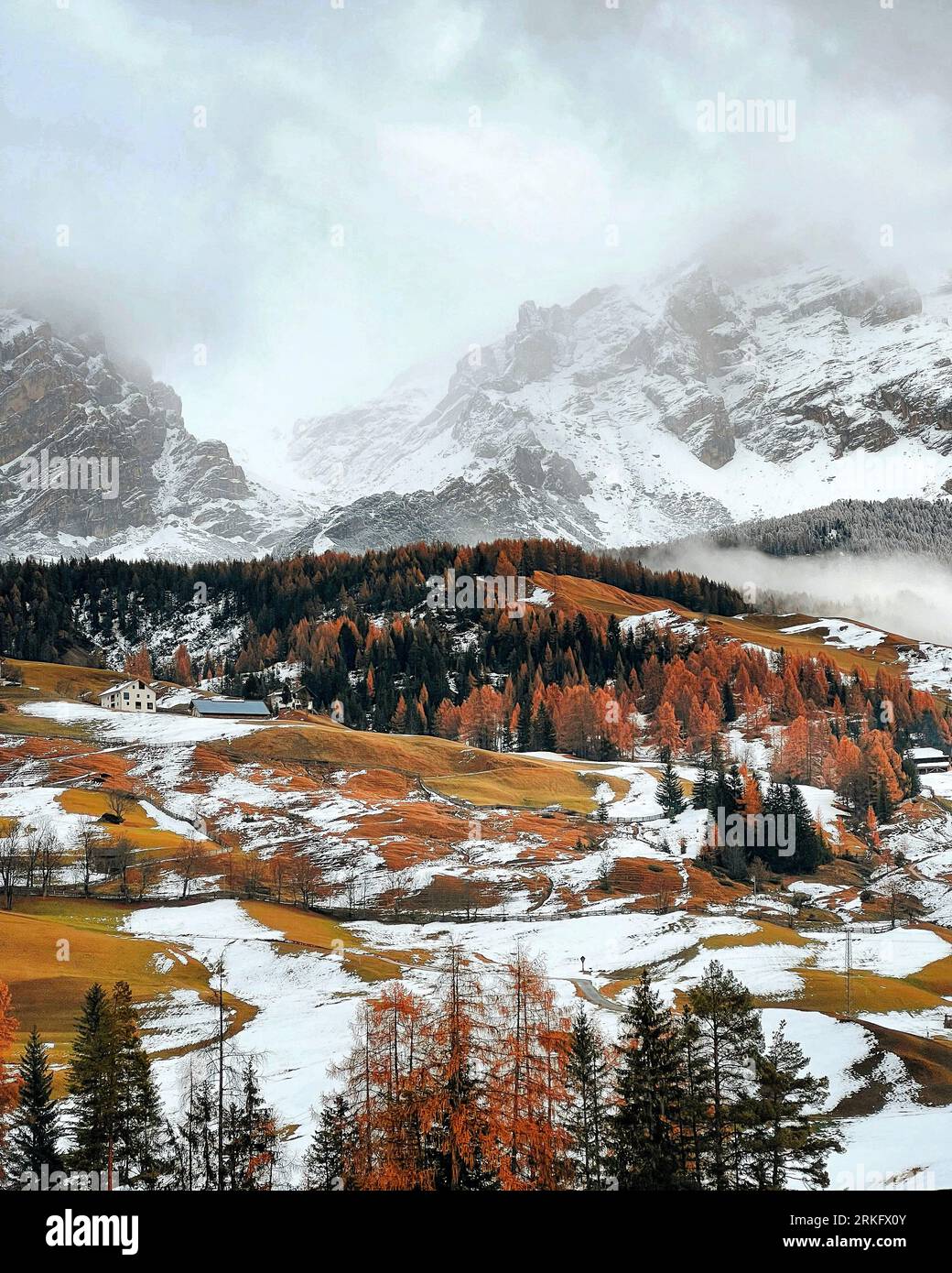 Foliage dolomiti hi-res stock photography and images - Alamy
