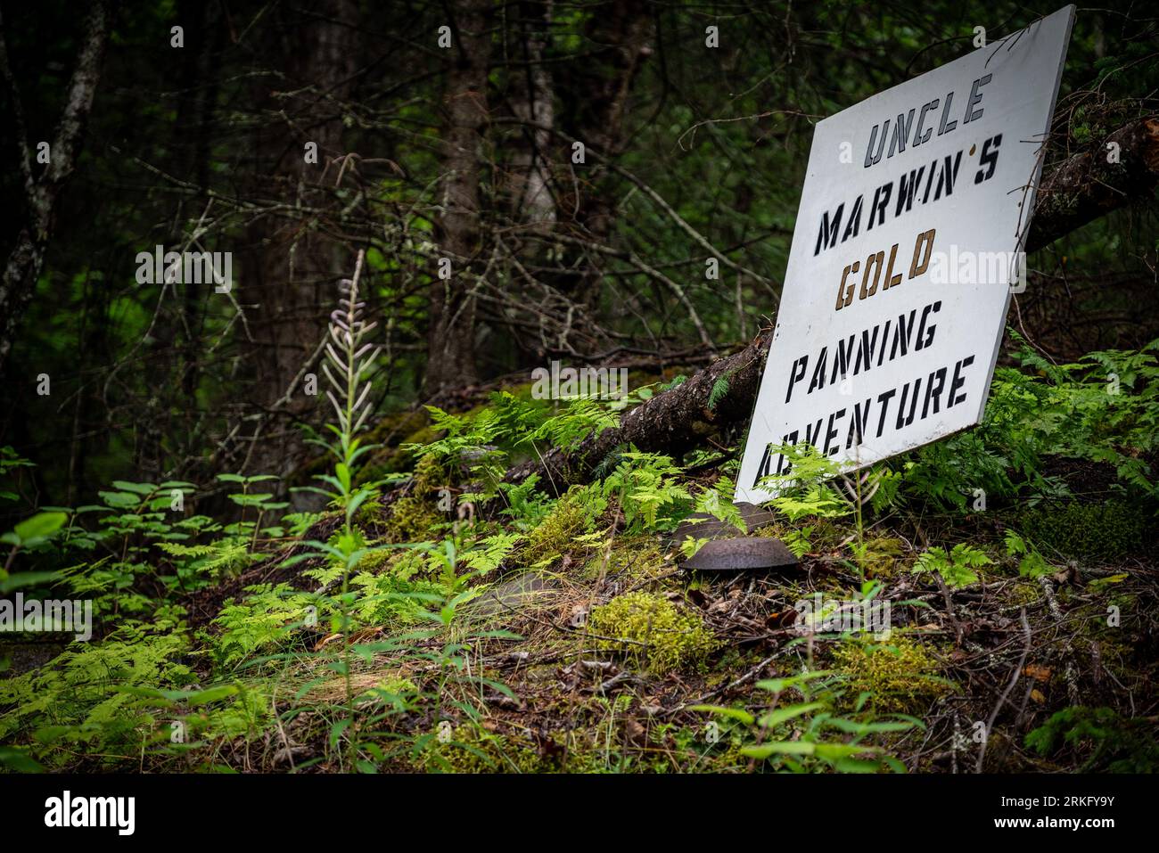 A close-upof a wooden sign post against a green, outdoor background ...