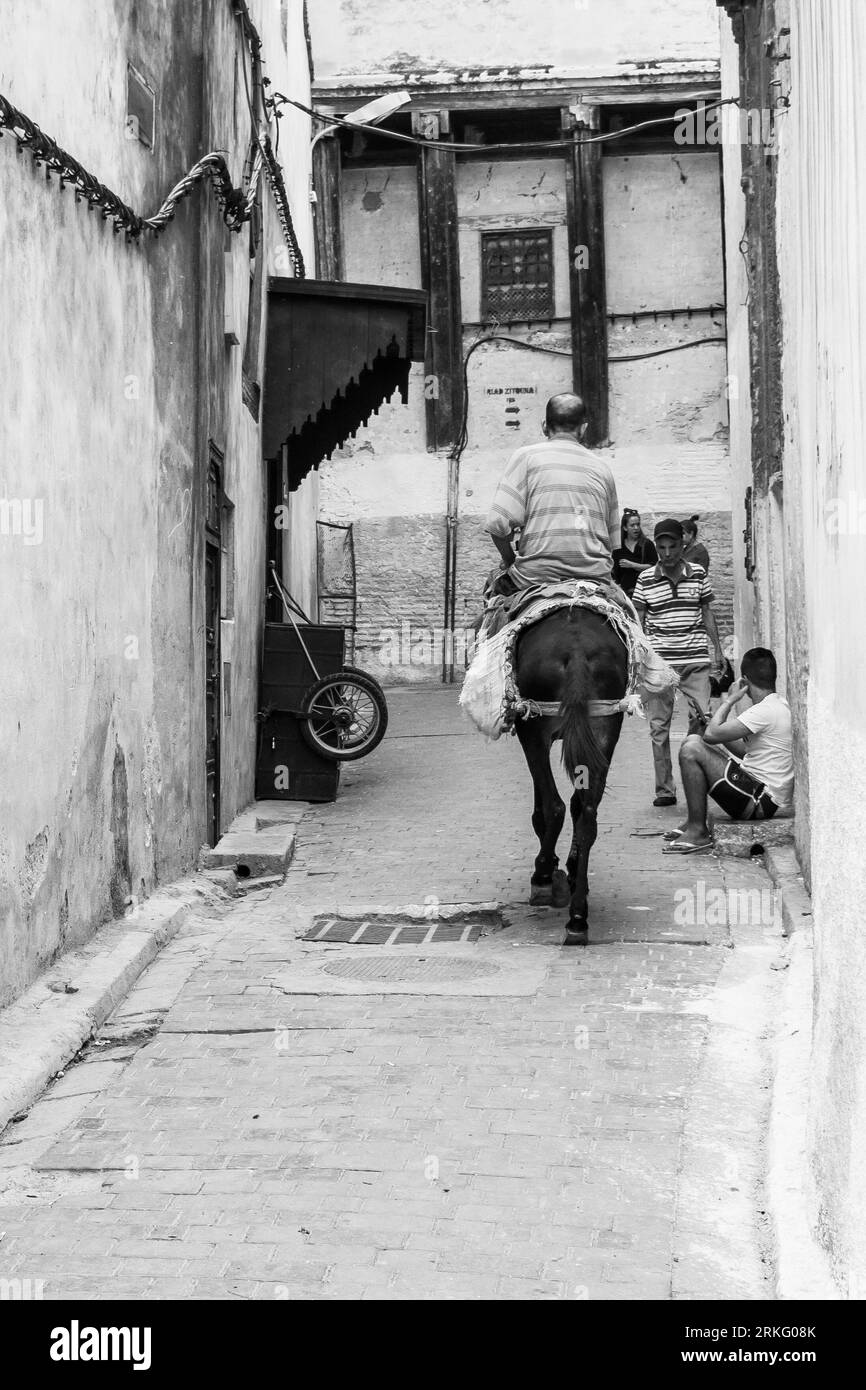 Donkey carrying heavy load in Black and White Stock Photos & Images - Alamy