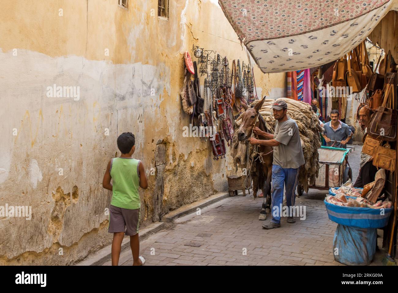 A mule used for transport and delivery of heavy loads in the narrow ...