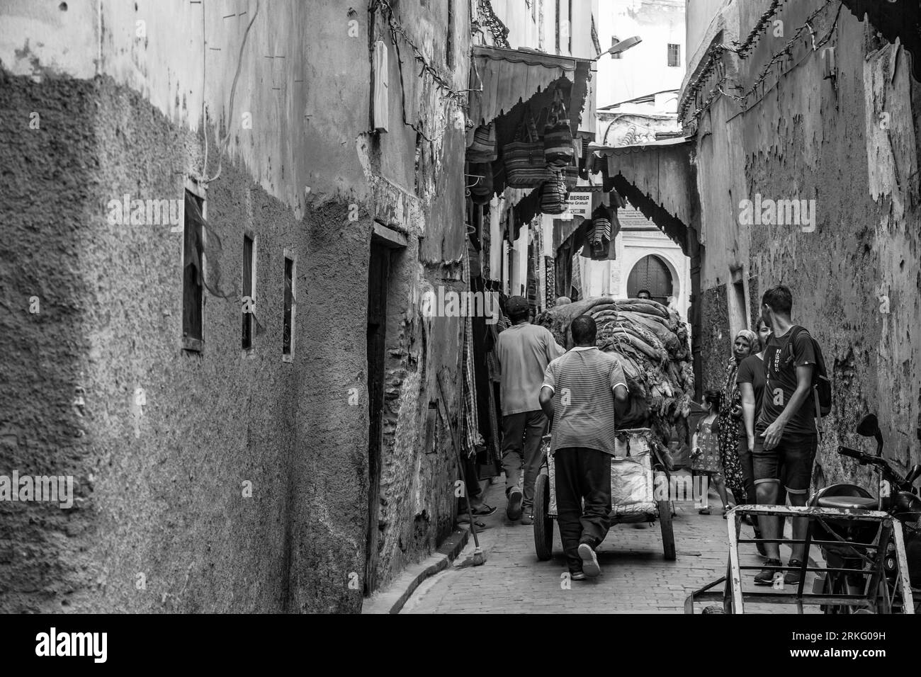 A mule used for transport and delivery of heavy loads in the narrow ...