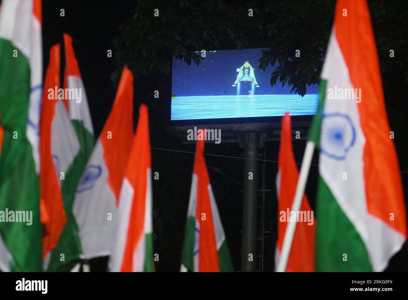 BJP party leaders, workers and the general public celebrate with the ...