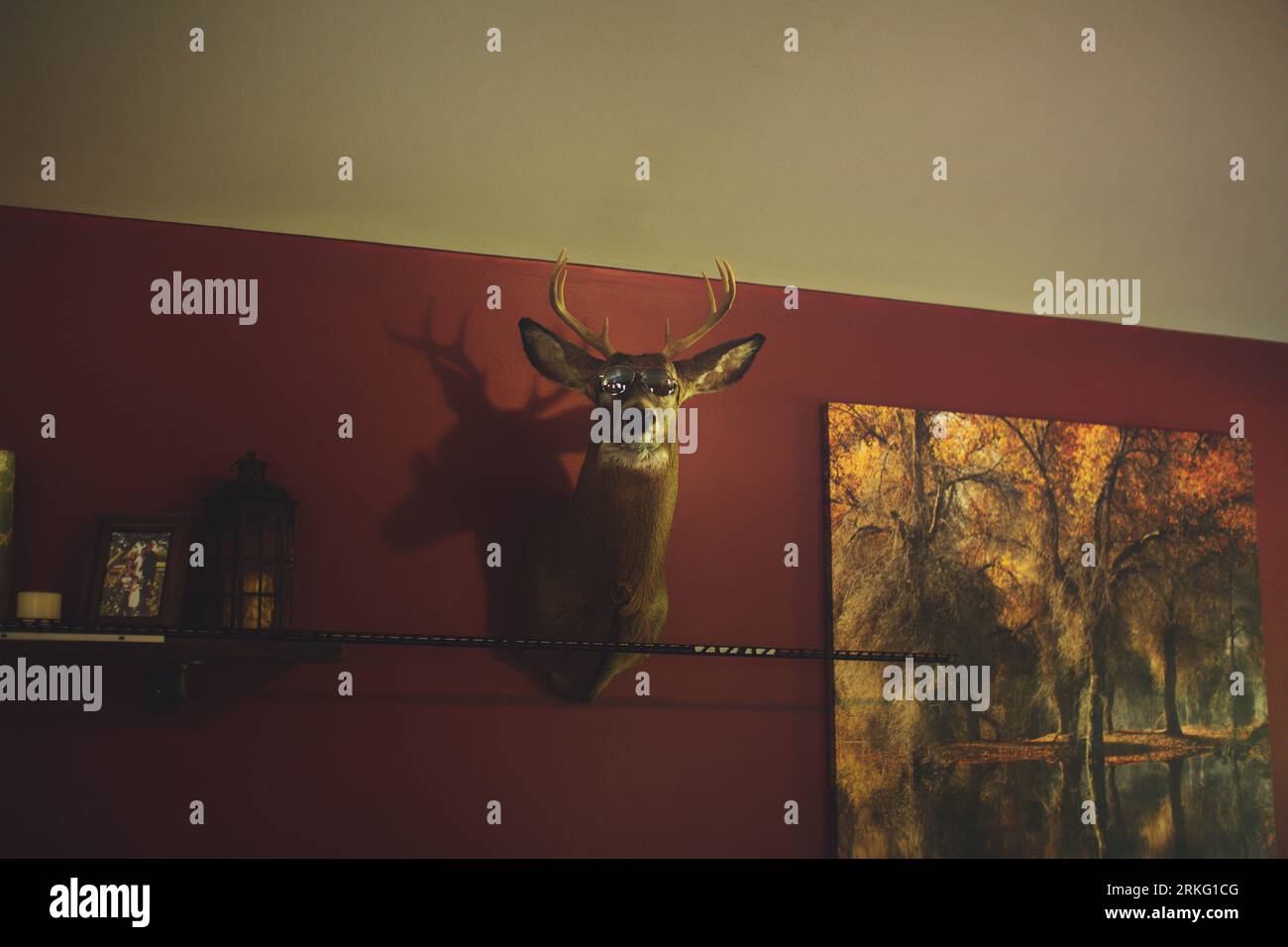 A large wall-mounted deer head sculpture on the wall with framed ...