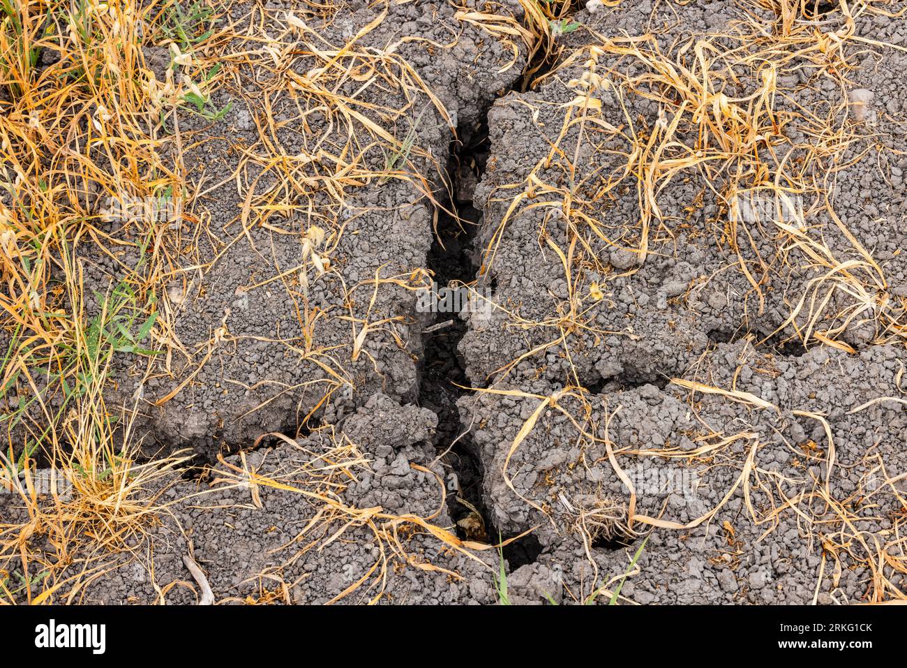 Cracks in drought affected earth hi-res stock photography and images ...