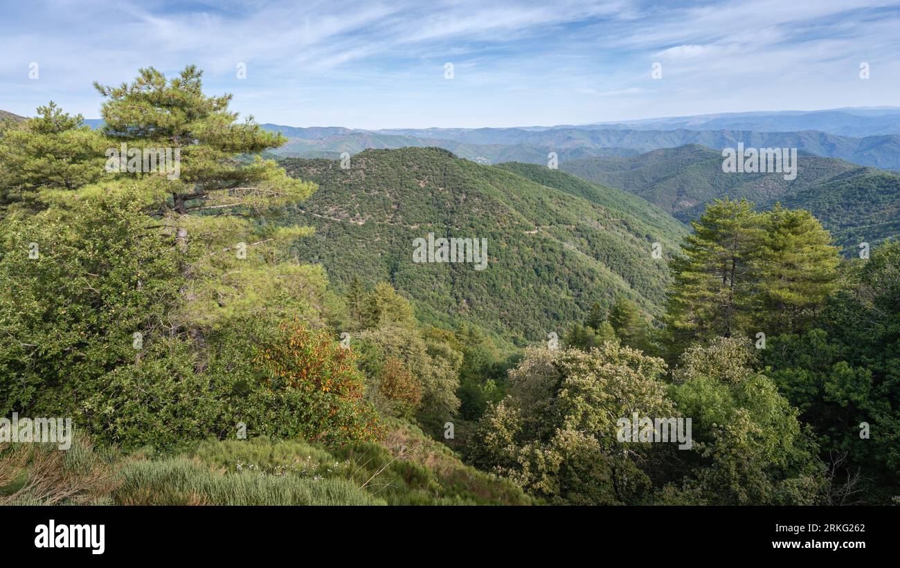 Scenic summer mountain landscape panorama overlooking the Cevennes ...