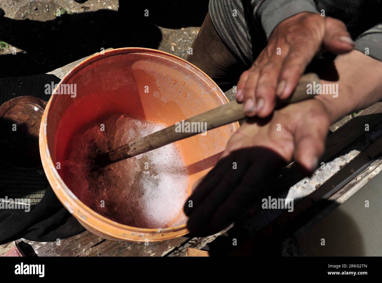 Three types of insects hi-res stock photography and images - Alamy