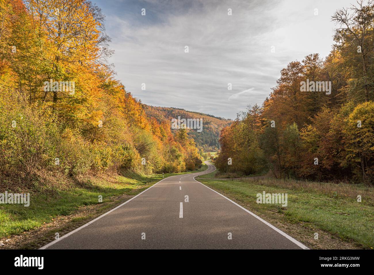 Country road through autumn forest in the Upper Danube Valley, Upper ...