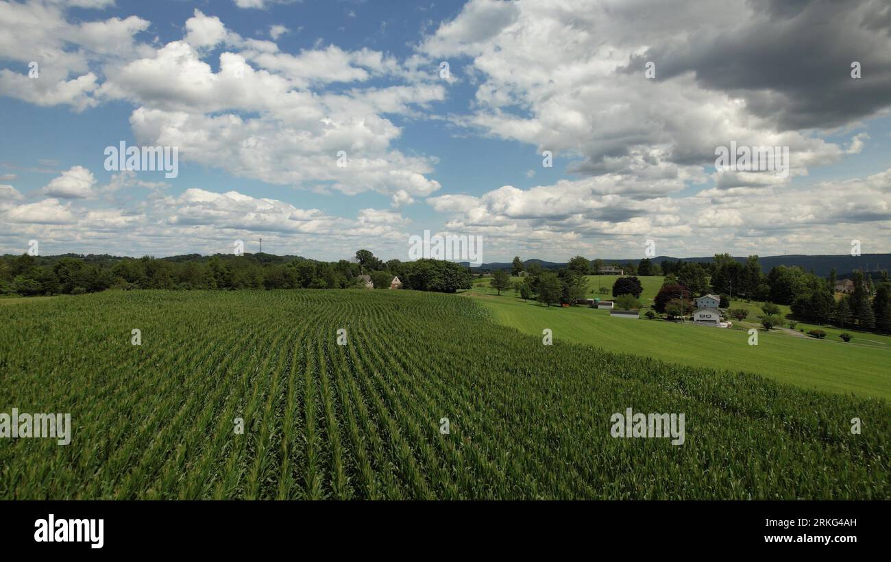 This image depicts a picturesque farm landscape with bright sunshine ...