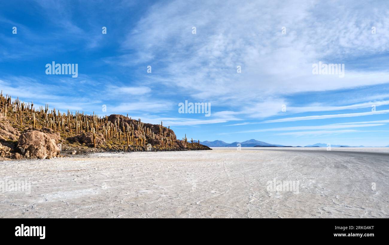 An idyllic landscape of an unpopulated salt flat near the Andes in ...