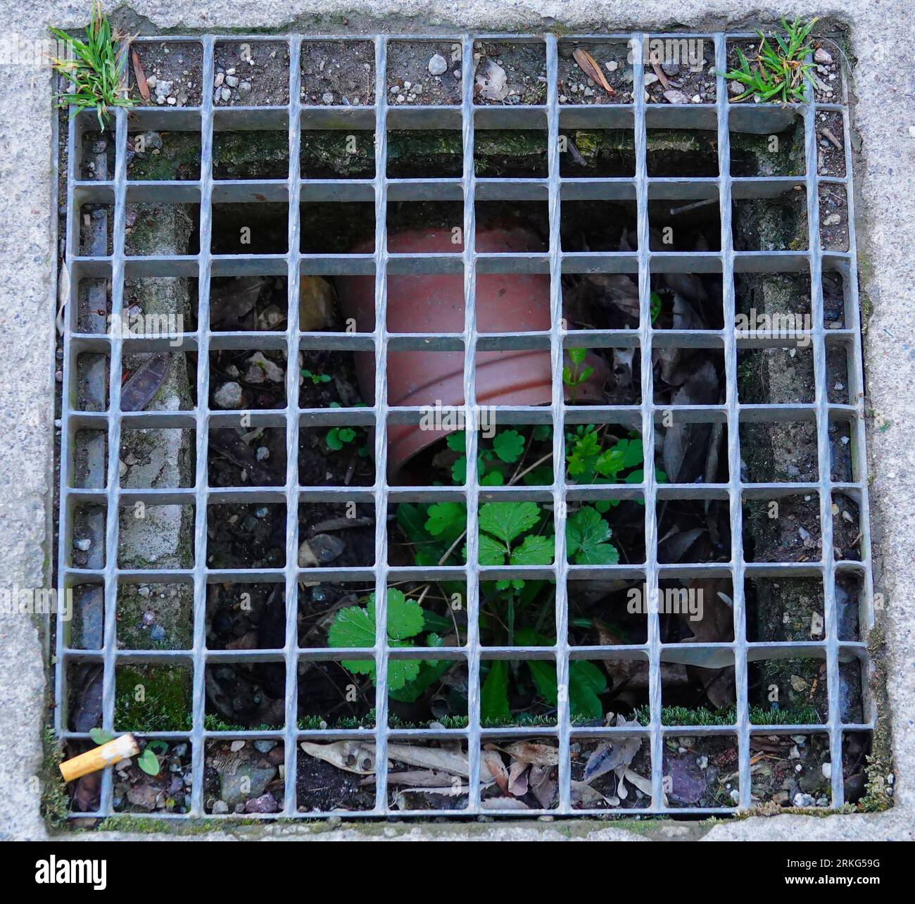 A low-angle shot of a metal grate covering a drain pipe, with water ...