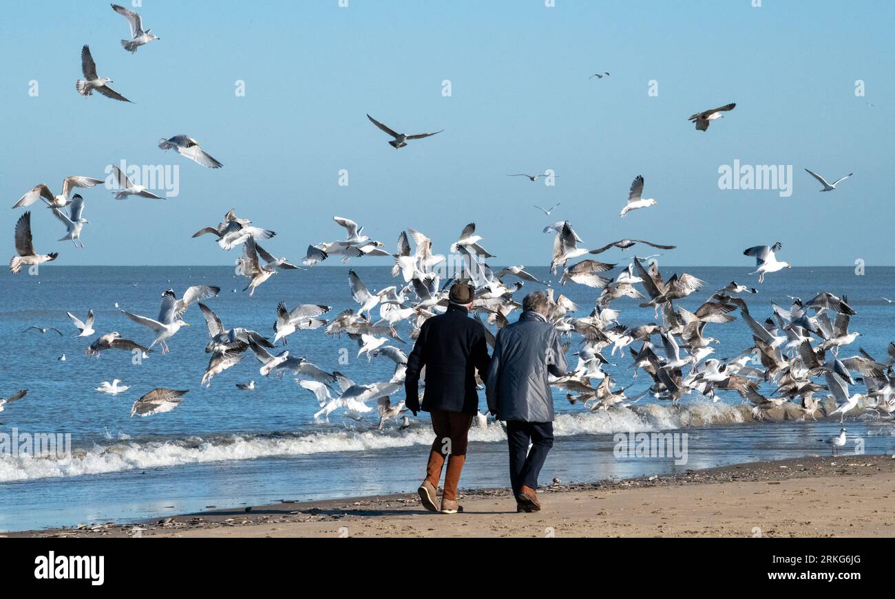 Beach walk with seagulls Stock Photo - Alamy