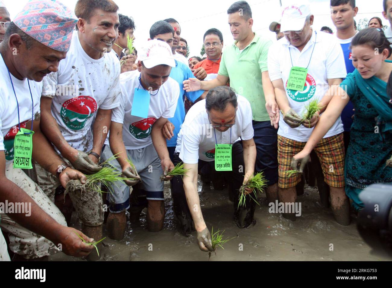 Planting po hi-res stock photography and images - Alamy