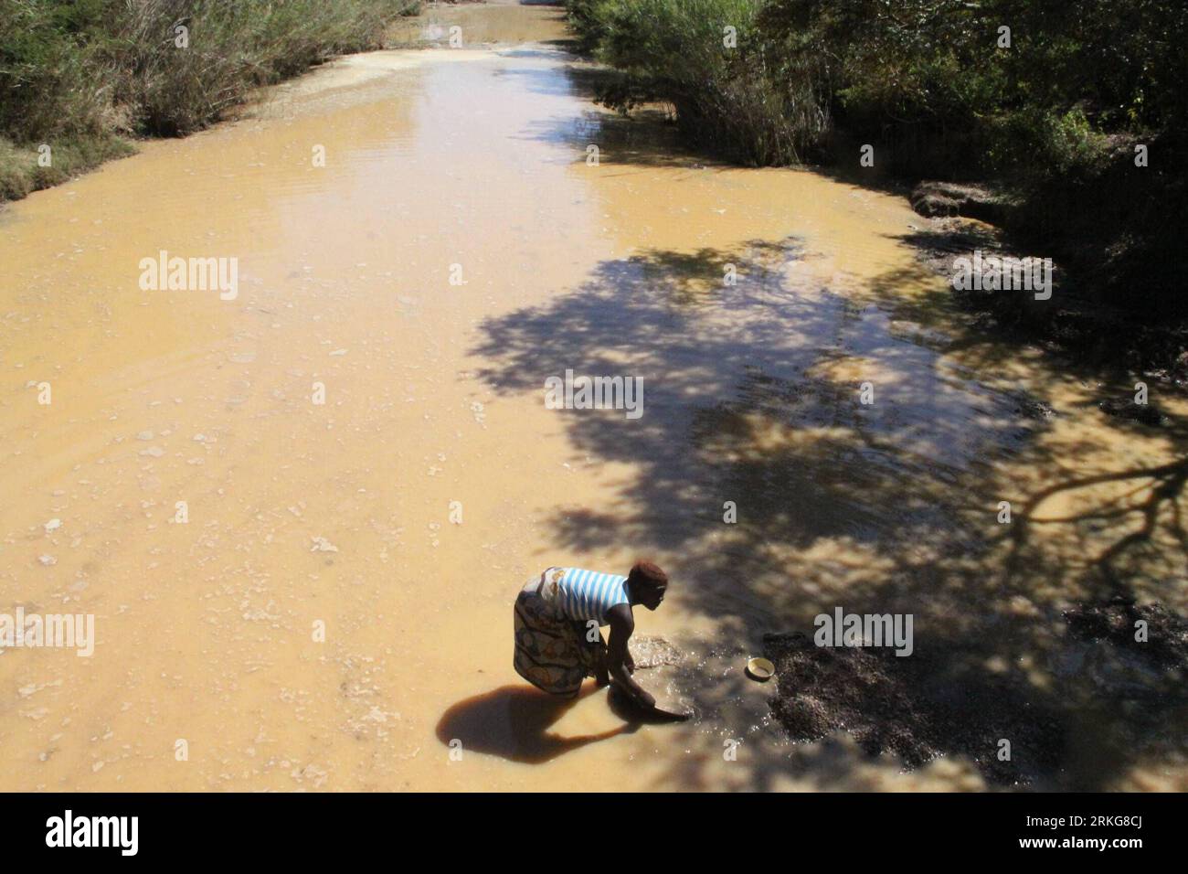 Goldschurfer hi-res stock photography and images - Alamy