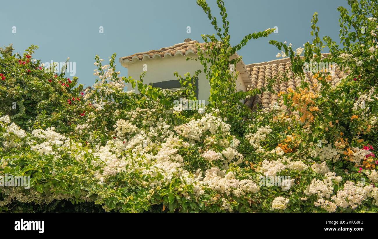 A traditional country house surrounded by lush green trees and bushes ...