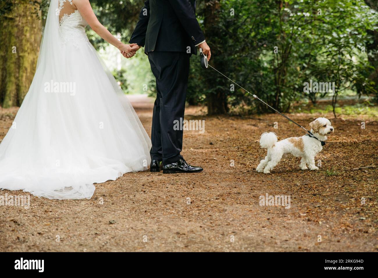 A newly married couple walking their pet dog down a path in their ...